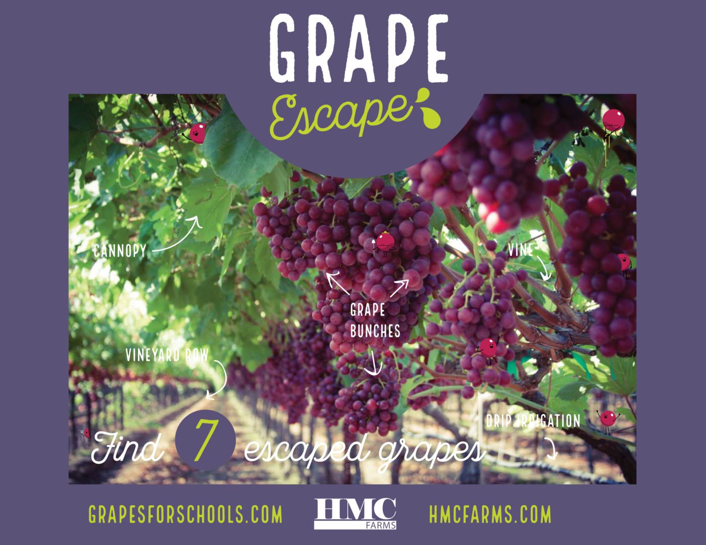 Just for Kids - HMC Grapes for Schools